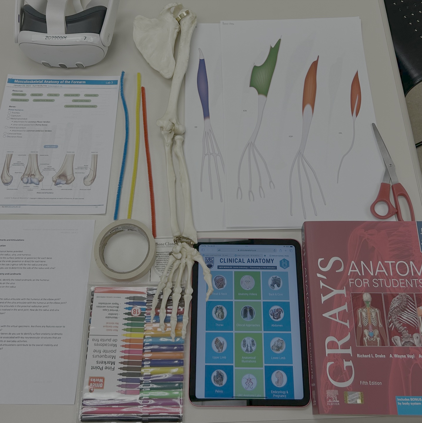 Biomedical Visualization and Communication – Vancouver Summer Program