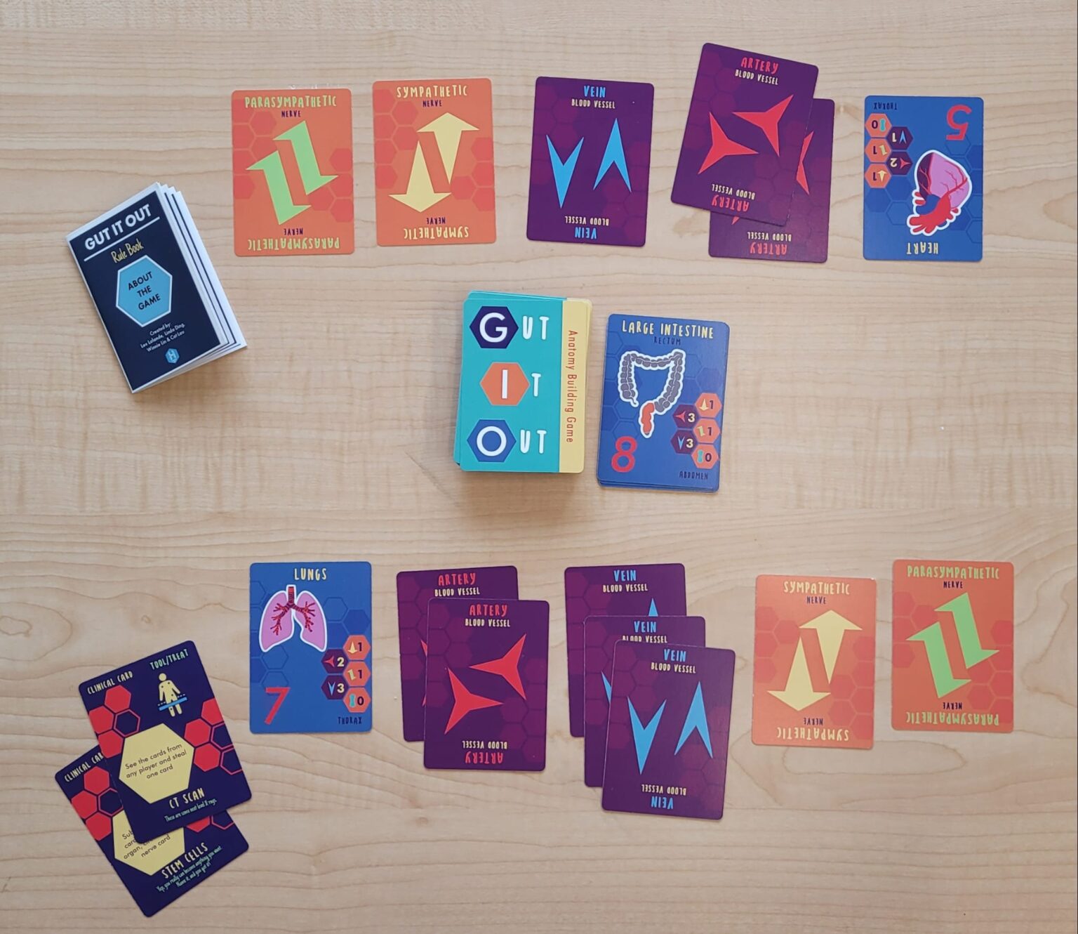 Biomedical Visualization and Communication – Vancouver Summer Program